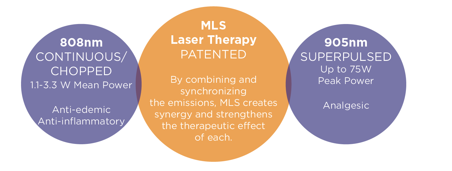 Choosing the Right Therapy Laser for Veterinary Practice